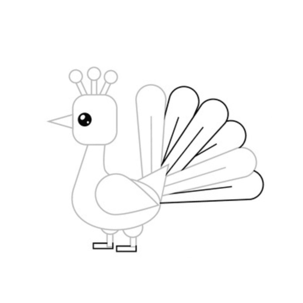 How to Draw a Peacock: Perfect Guide for Kids in 6 easy steps!