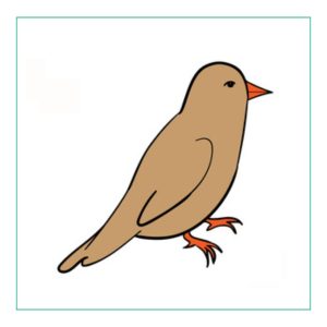 Easy to follow Sparrow Drawing for Kids in 5 mins!
