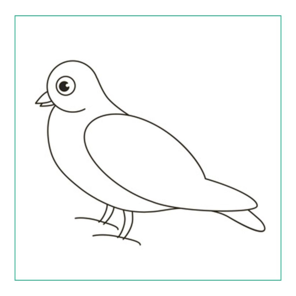 Pigeon Drawing for Kids | Easy 5 Min Guide
