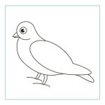 Pigeon Drawing for Kids | Easy 5 Min Guide
