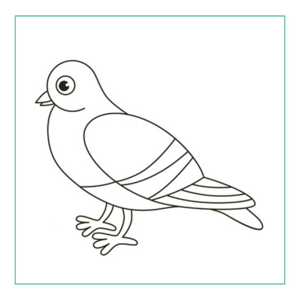Pigeon Drawing for Kids | Easy 5 Min Guide