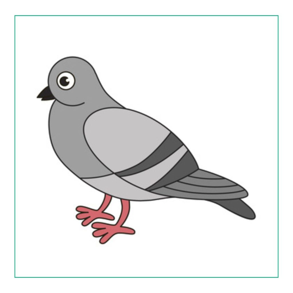 Pigeon Drawing for Kids | Easy 5 Min Guide