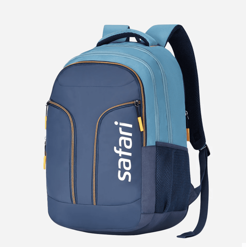 Best School Bag Brands in India 2024
